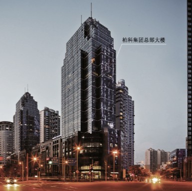 上海柏科咨询 