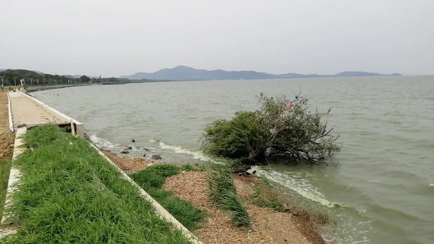 无锡市滨湖区马山太湖风光,太湖也像大海一样无边无际。