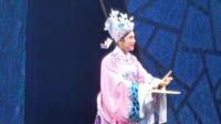 ...游园》 2019年8月31日无锡人民大会堂 徐伟芳锡剧演唱会陈允斋录制