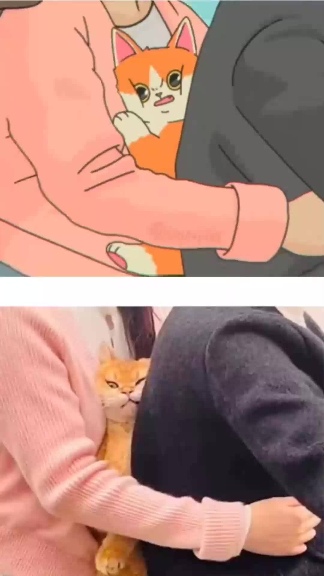 才艺:生活是剧本,艺术是即兴演出的精彩片段