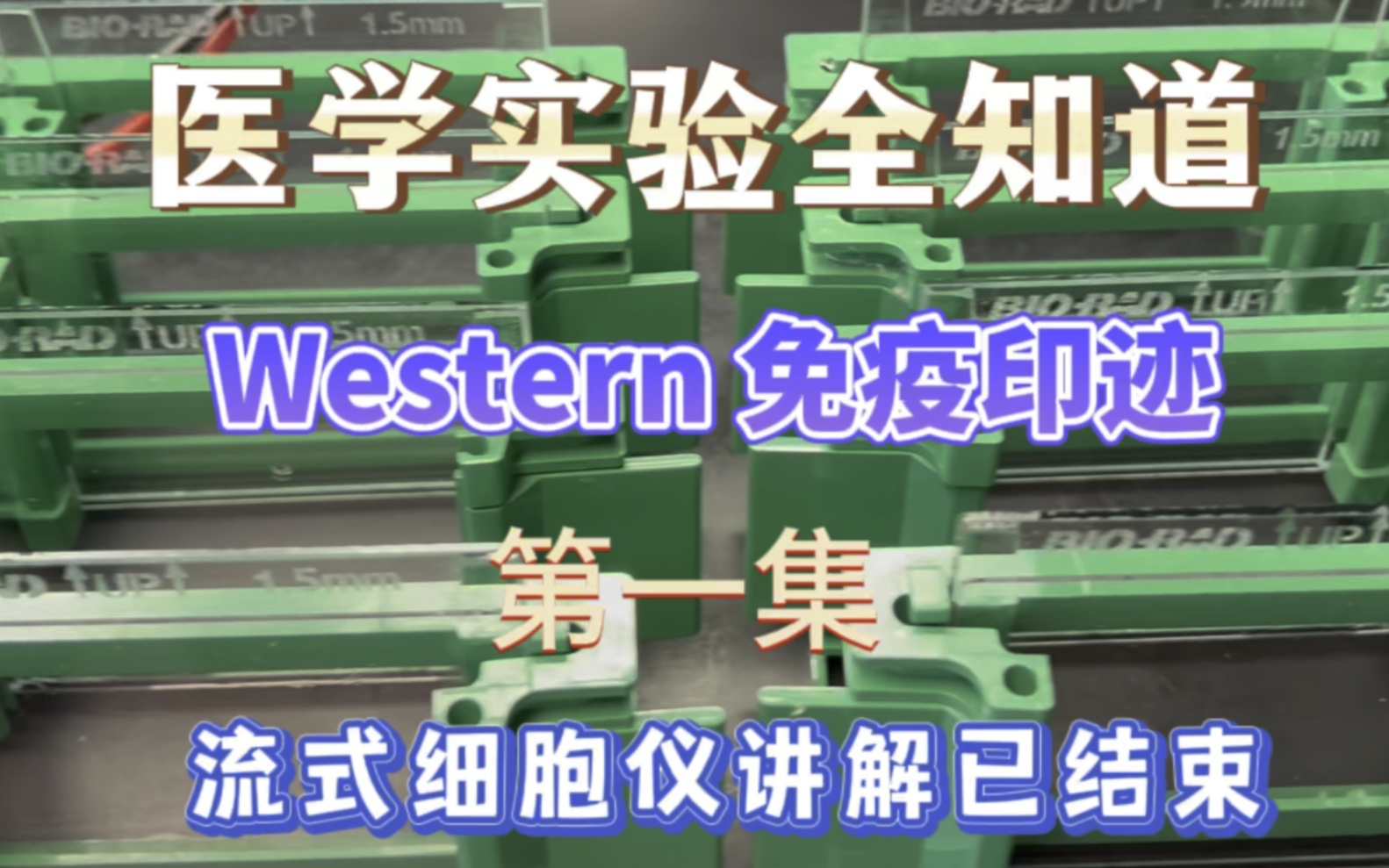 Western 免疫印记。流式细胞仪的两期讲解可在首页查看,这期开始介绍...