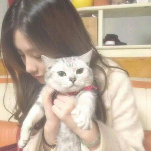 码歌教育 