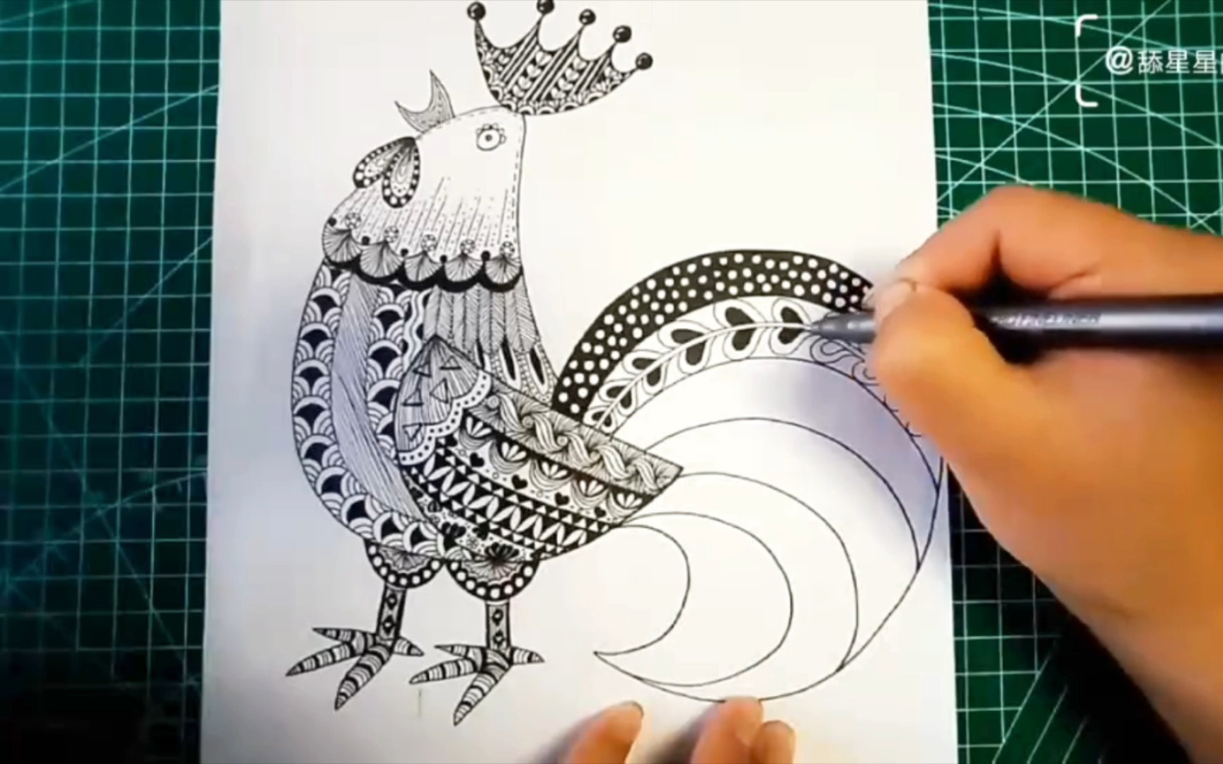 自学线描征途上的一些小小成就‖黑白线描画《大公鸡ߐ�》