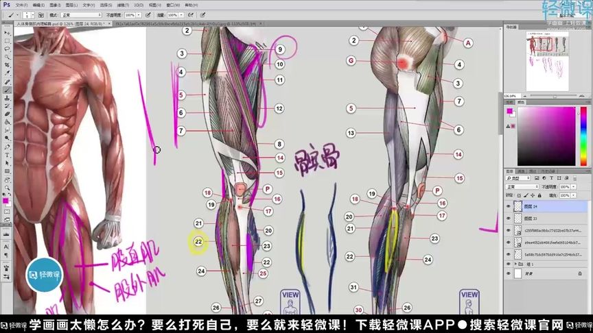 「推荐」零基础画画最开始要学什么