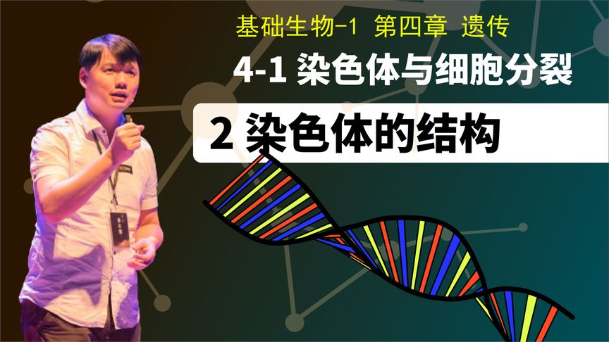 基础生物学4-1.2 染色体的结构