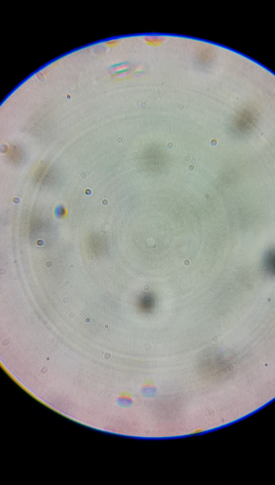 显微镜观察 口腔细胞 血液和 小蝌蚪。50x100 。入门小学生显微镜 ...