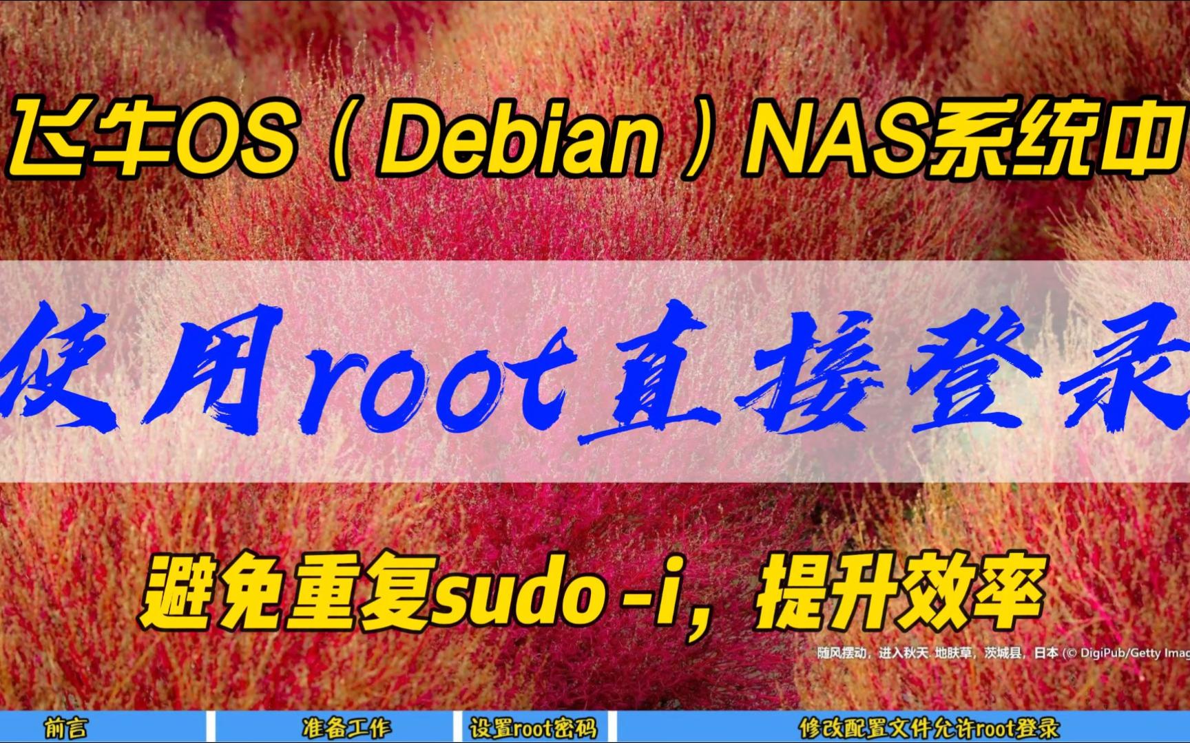 飞牛OS(Debian)NAS系统中使用root直接登录~避免重复sudo -i,提升...