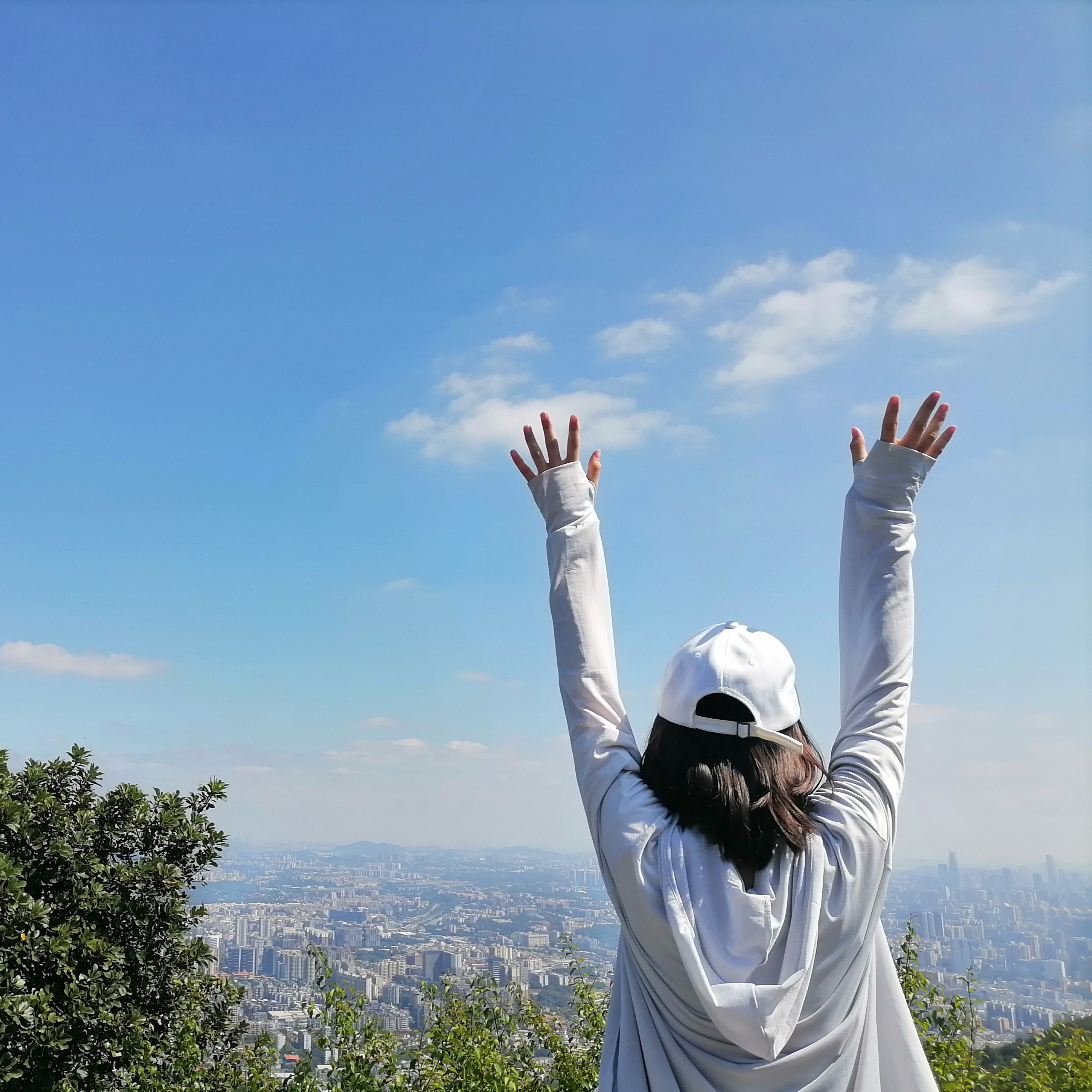 玫瑰陈皮不加糖 