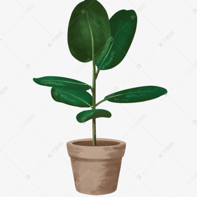 拉拉的菜园生活 