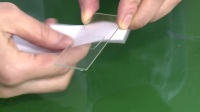 观察番茄果肉细胞(生物)