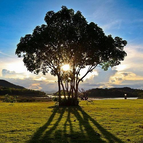 怒师傅你又凶我 