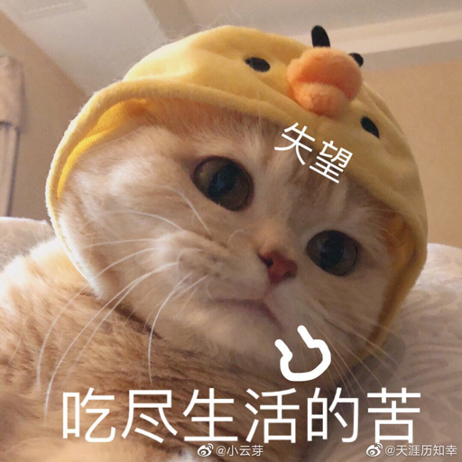 电粉_Toby 