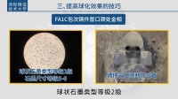 球铁球化石墨等级的金相图谱
