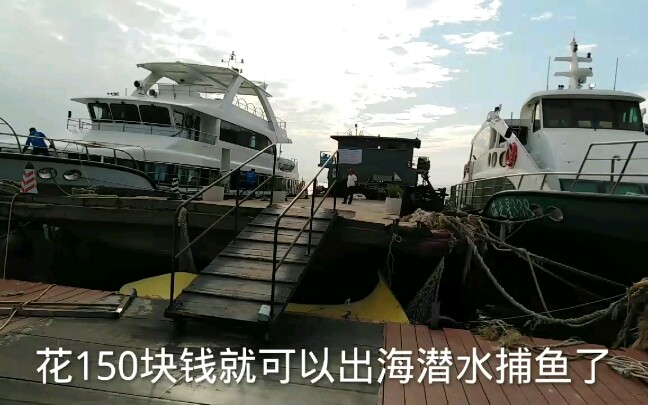 惠州巽寮湾最刺激的海上项目,150元体验游轮出海打鱼,太划算了