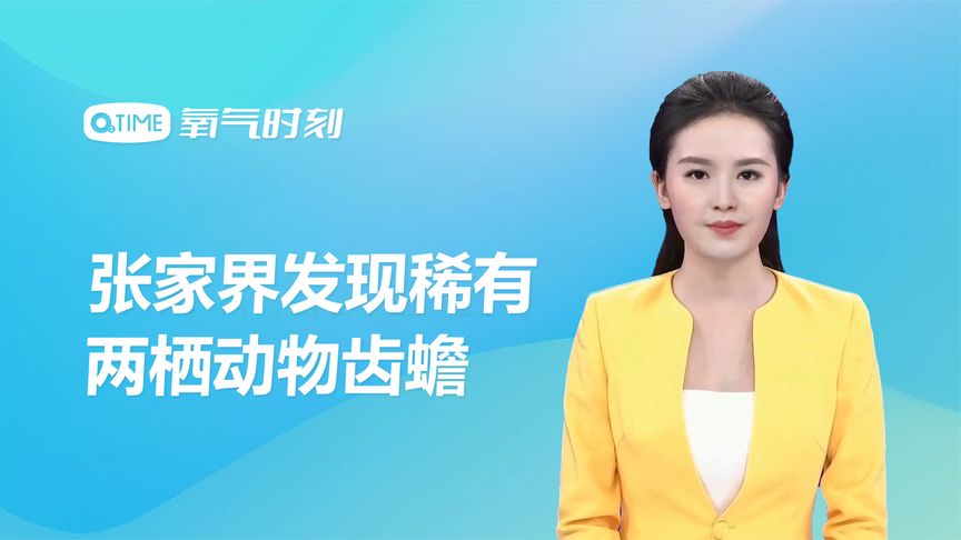 热点:张家界发现稀有两栖动物红点齿蟾