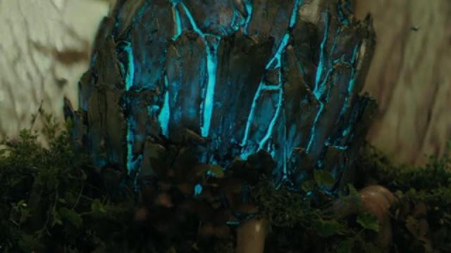 .捡到陨石,一觉醒来竟长出残臂,没想到有神奇的功效!