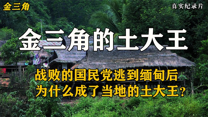 战败国民党溃逃到缅甸,却在金三角当了土大王,结局惨烈!纪录片