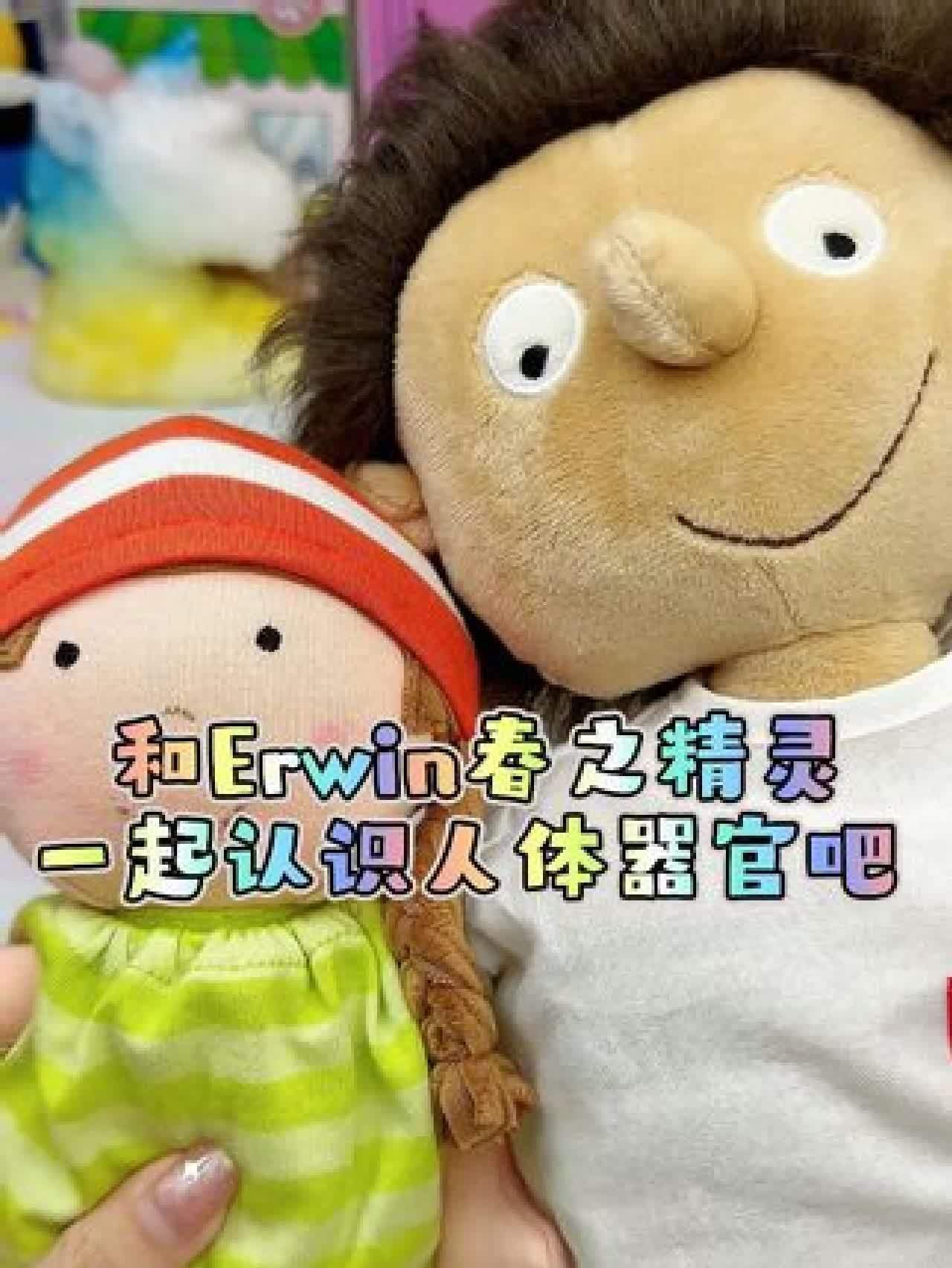 一起来和春之精灵认识人体的器官构造吧!#过家家 #儿童动画片 #手工 .