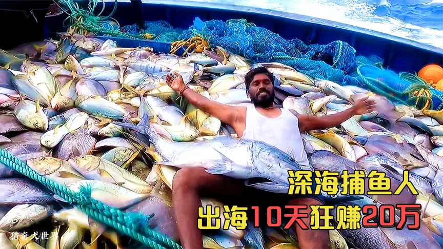 纪录片:印度洋上疯狂捕鱼人,出海10天捕鱼5吨多,一趟狂赚20万