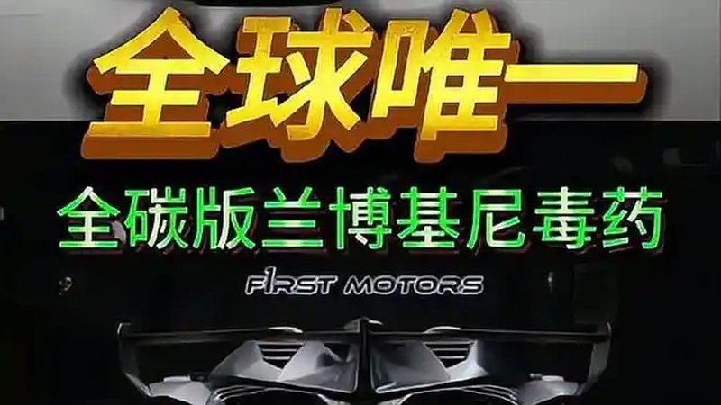 全球唯一全碳版兰博基尼毒药
