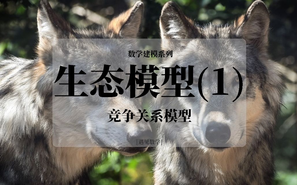 数学建模系列之生态模型(1)——竞争关系模型