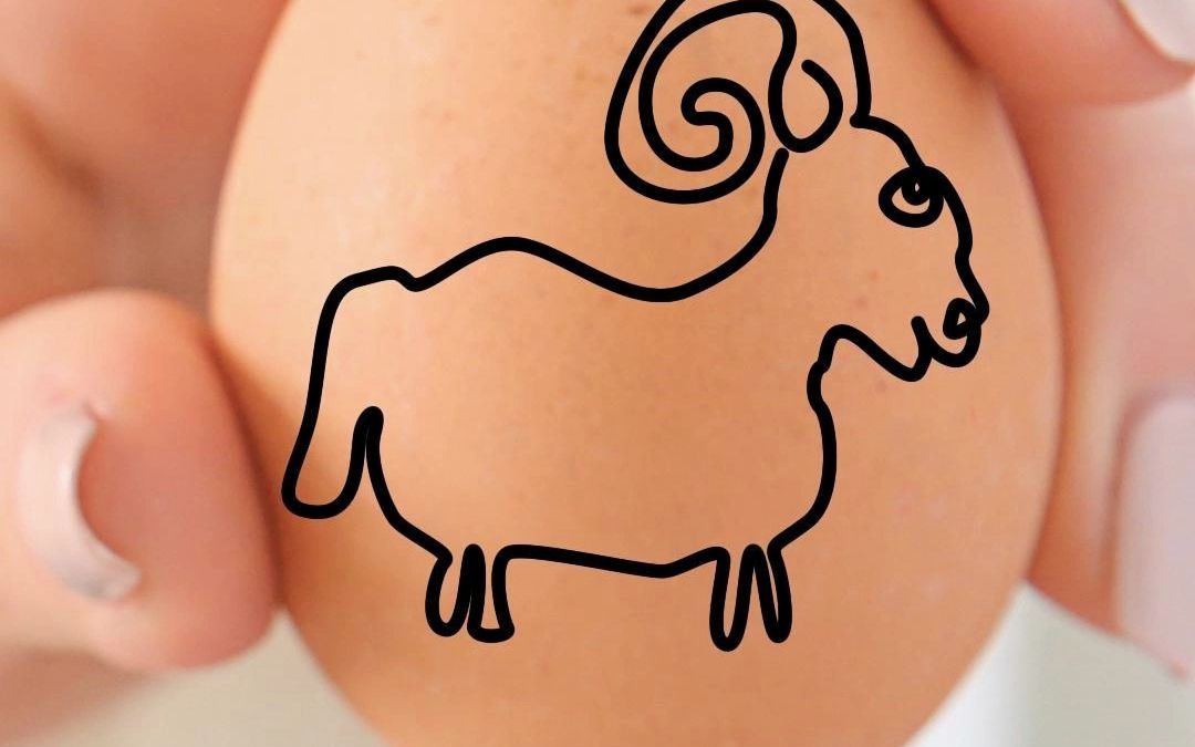 一笔画一只小山羊,就是这么简单