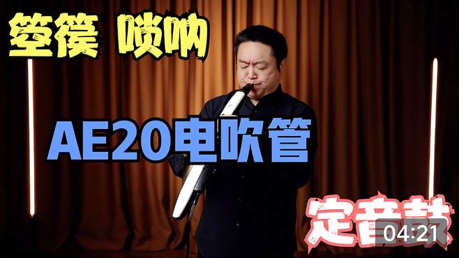 罗兰AE-20电吹管 音色演示 箜篌、拨弦弦乐、唢呐、定音鼓