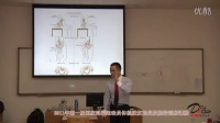 《骨盆关节的功能解剖》骨盆位置与腰椎的关系