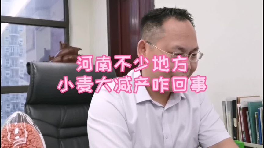 不少地方小麦大减产咋回事?#种植大户 #粮食安全 #小麦管理技朮