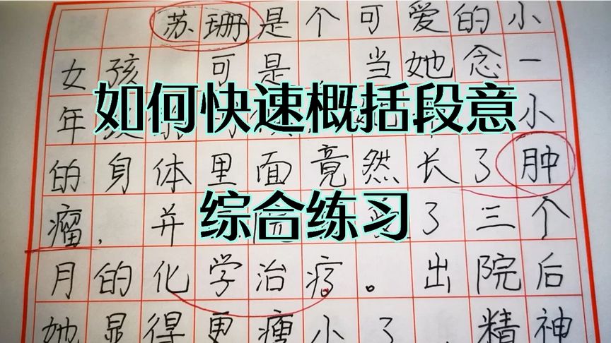 如何快速概括段意?运用缩句法、连词概括法综合练习