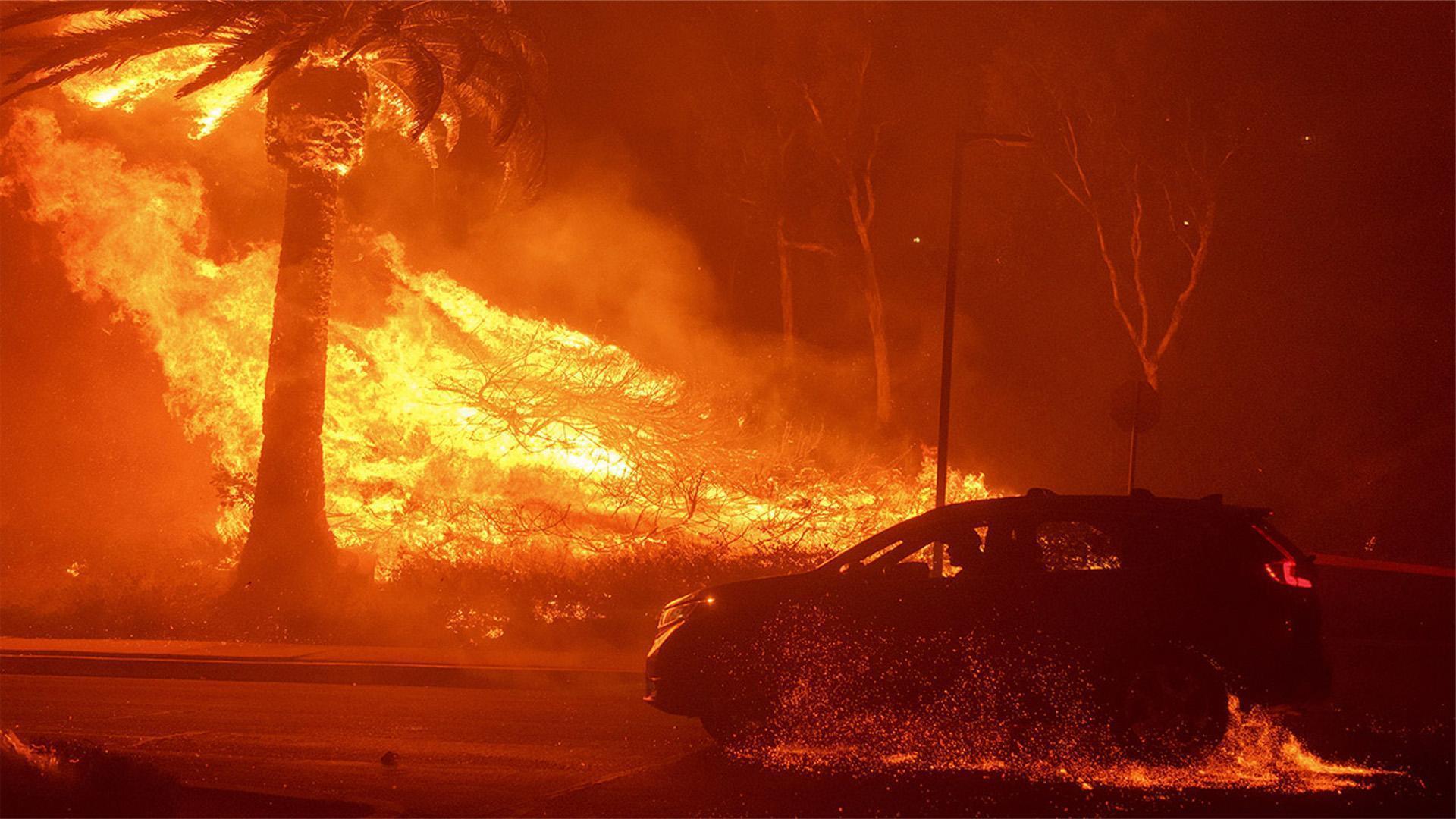 美国加州突发大规模山火:数万户停电,多建筑被烧,学生紧急避难