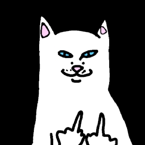 社会猫里猫 