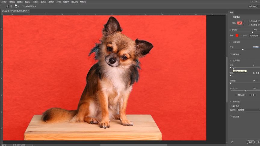 Photoshop必备抠图技能之选择并遮住