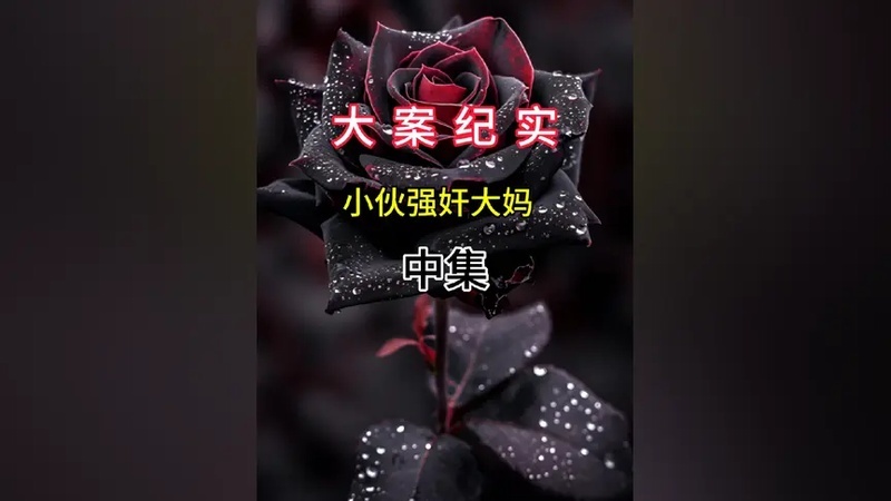 大案纪实 大案要案侦破纪实 案件故事 真实案件记录 案件