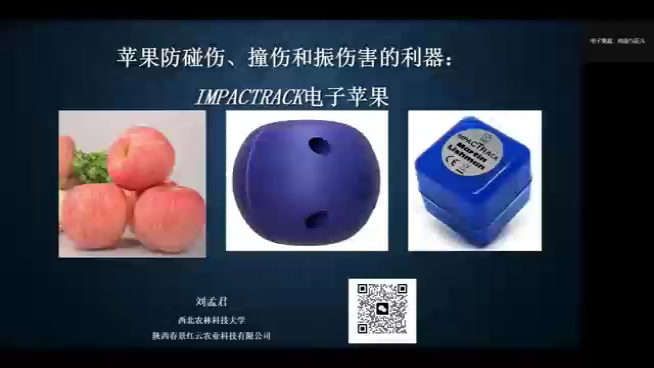 电子苹果:一种碰撞与振动监测与记录传感设备
