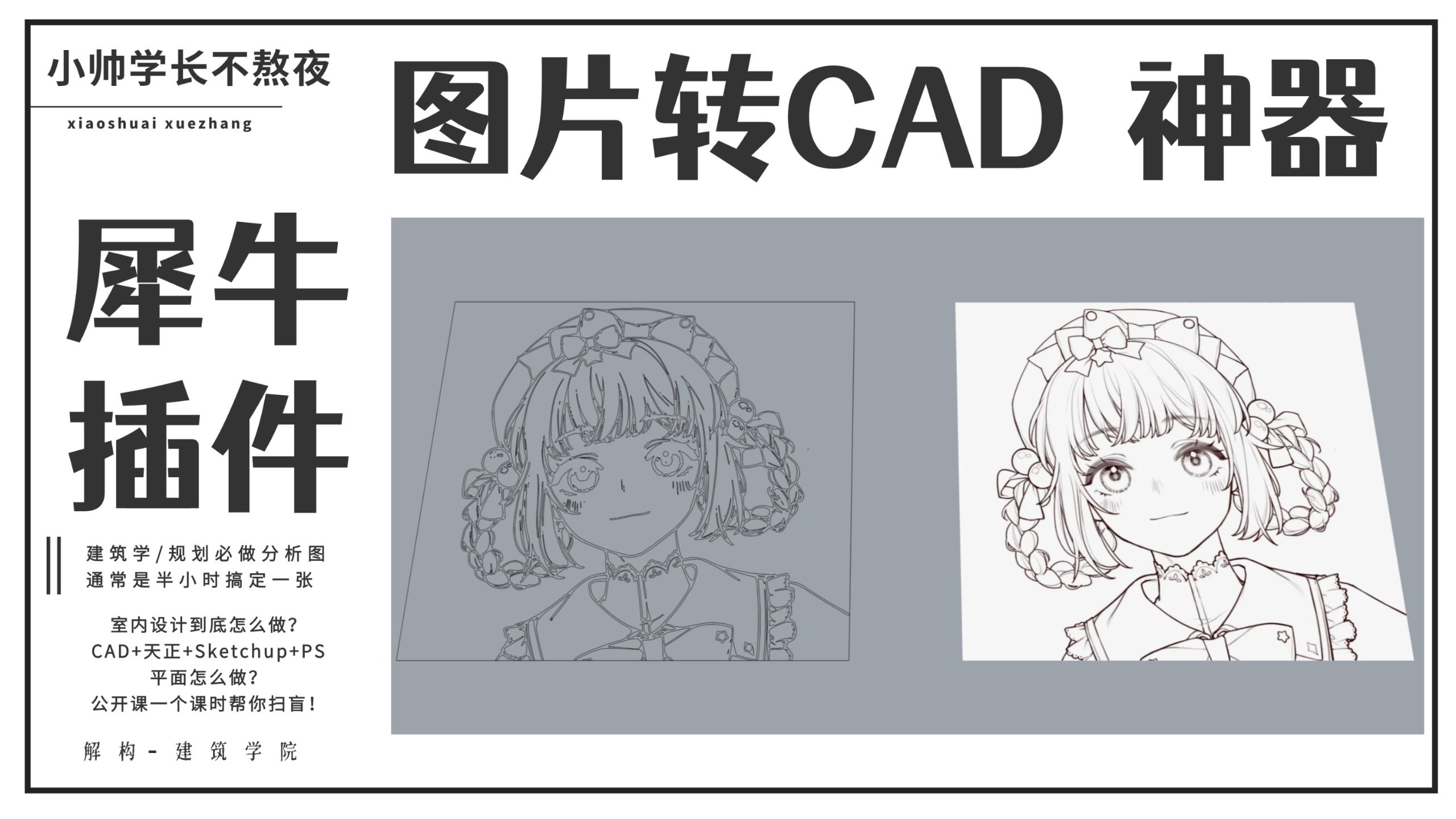 【图片转CAD】犀牛插件!一键抠图!