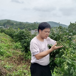 广西老聂 