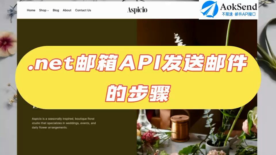 .NET邮箱API发送邮件的步骤?怎么配置API? .NET邮箱API发送邮件...