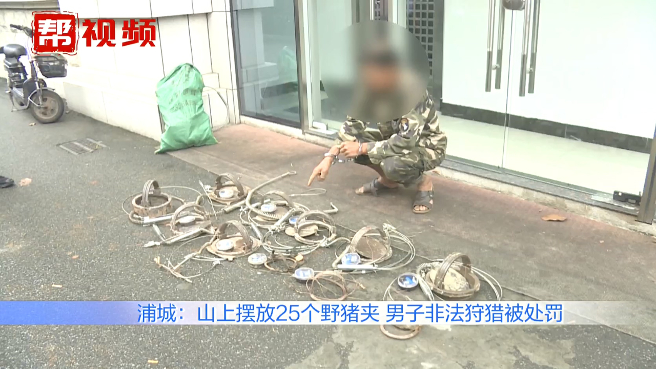 “想夹几只野猪吃”,网购25个野猪夹放山上,男子非法狩猎被罚