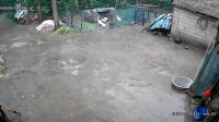2020年5月8日,家里监控实录下雨过程