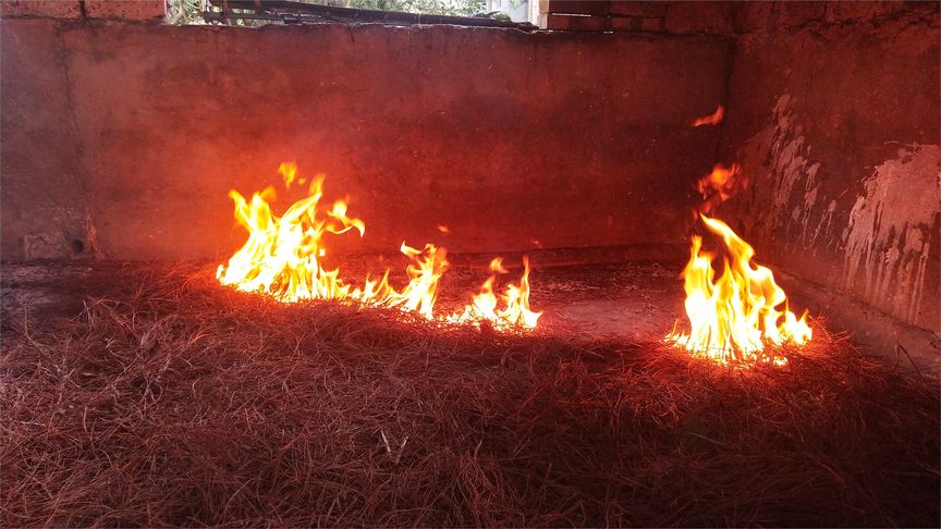 非洲猪瘟闹得这么凶,乡村小唐家用这种方法消毒行吗