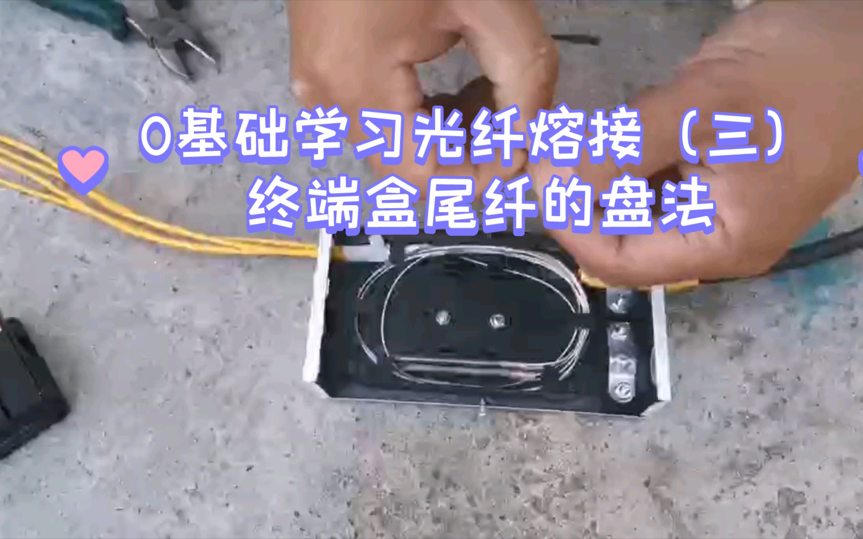 0基础学习光纤熔接(三)终端盒尾纤的盘法