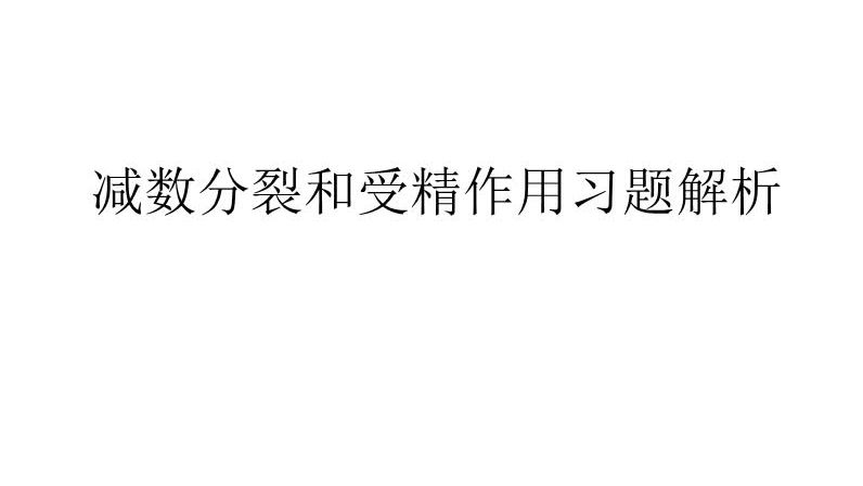 减数分裂和受精作用习题解析