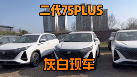 长安二代75PLUS