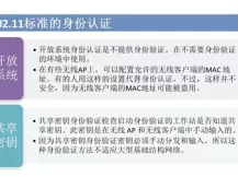 311无线局域网(安全)