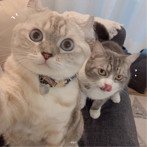 感受张三的狂妄 