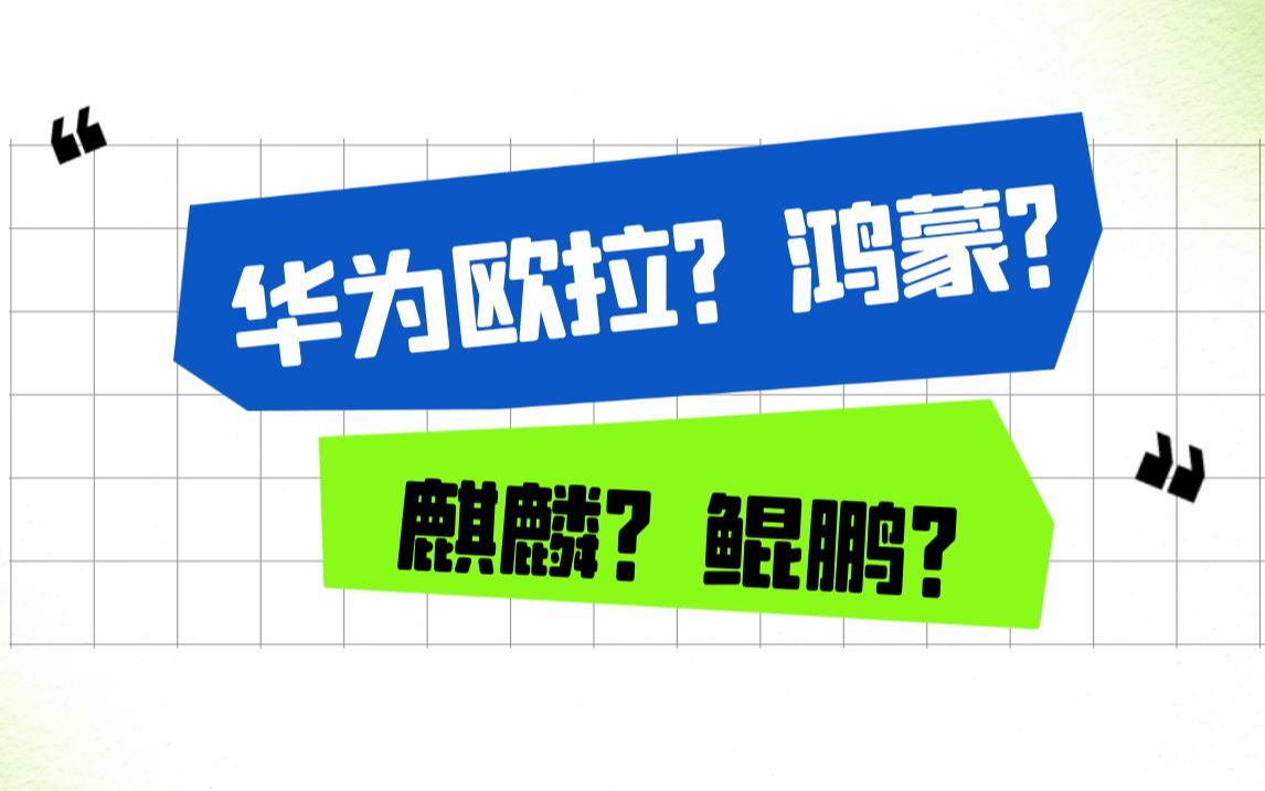 华为系4大区分:欧拉 鸿蒙 麒麟 鲲鹏