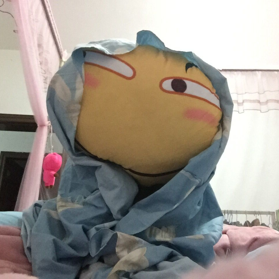 小小小异骐 