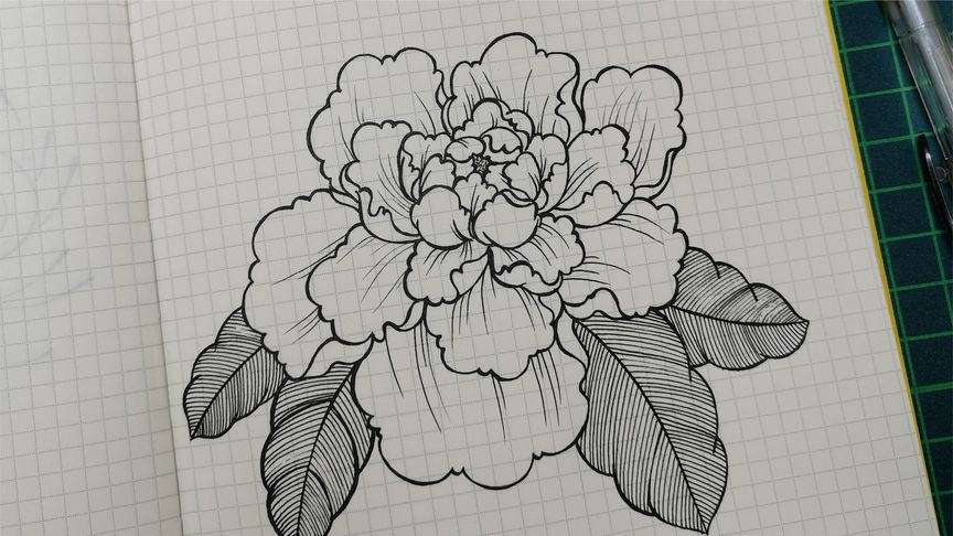 零基础针管笔线描画(花卉)系列~牡丹花的画法