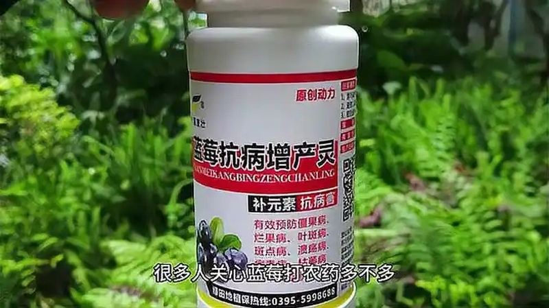 《蓝莓农药使用真相:无需过度恐慌,科学应对正当时》